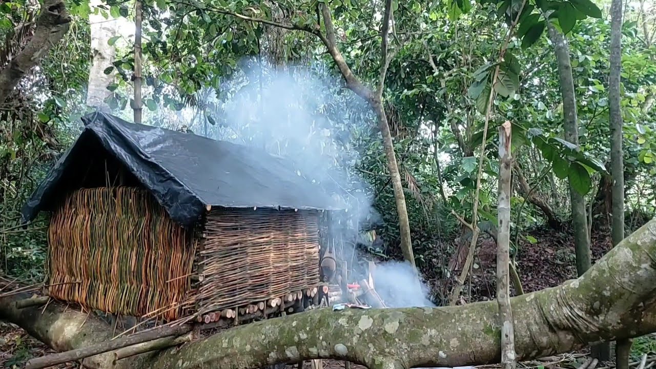 Camping di hutan - Membangun pondok sederhana menggunakan rotan - YouTube