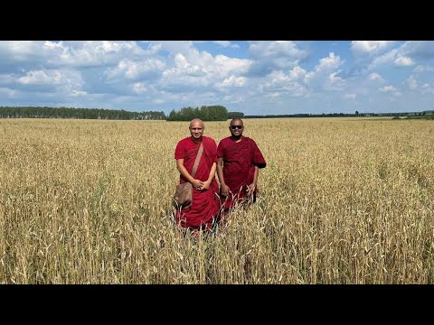 Бханте Ньянасиха. Лекция "Где начинается випассана? Очищение воззрений ...