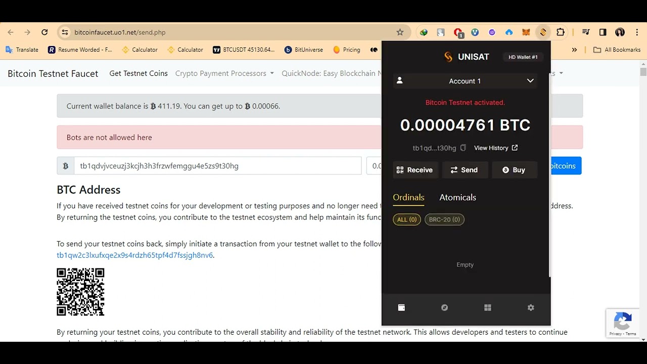 SATOSHI VM MINING STEP BY STEP WALKTHROUGH TESTNET/BITCOIN ZKROLLUP ...