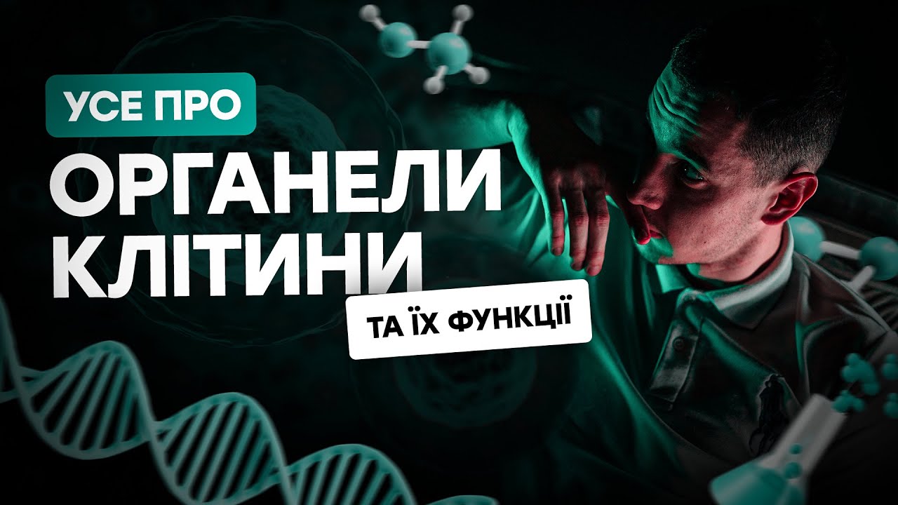 ОРГАНЕЛИ КЛІТИНИ ТА ЇХ ФУНКЦІЇ БІОЛОГІЯ БЕЗКОШТОВНИЙ ВЕБІНАР Youtube