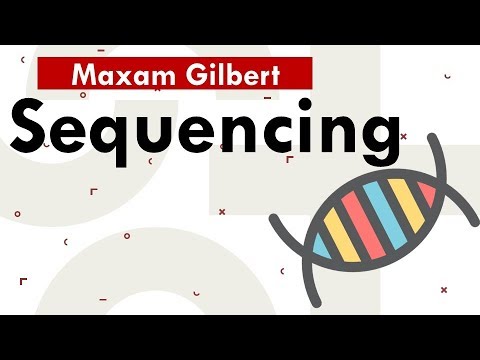 Maxam gilbert sequencing - YouTube