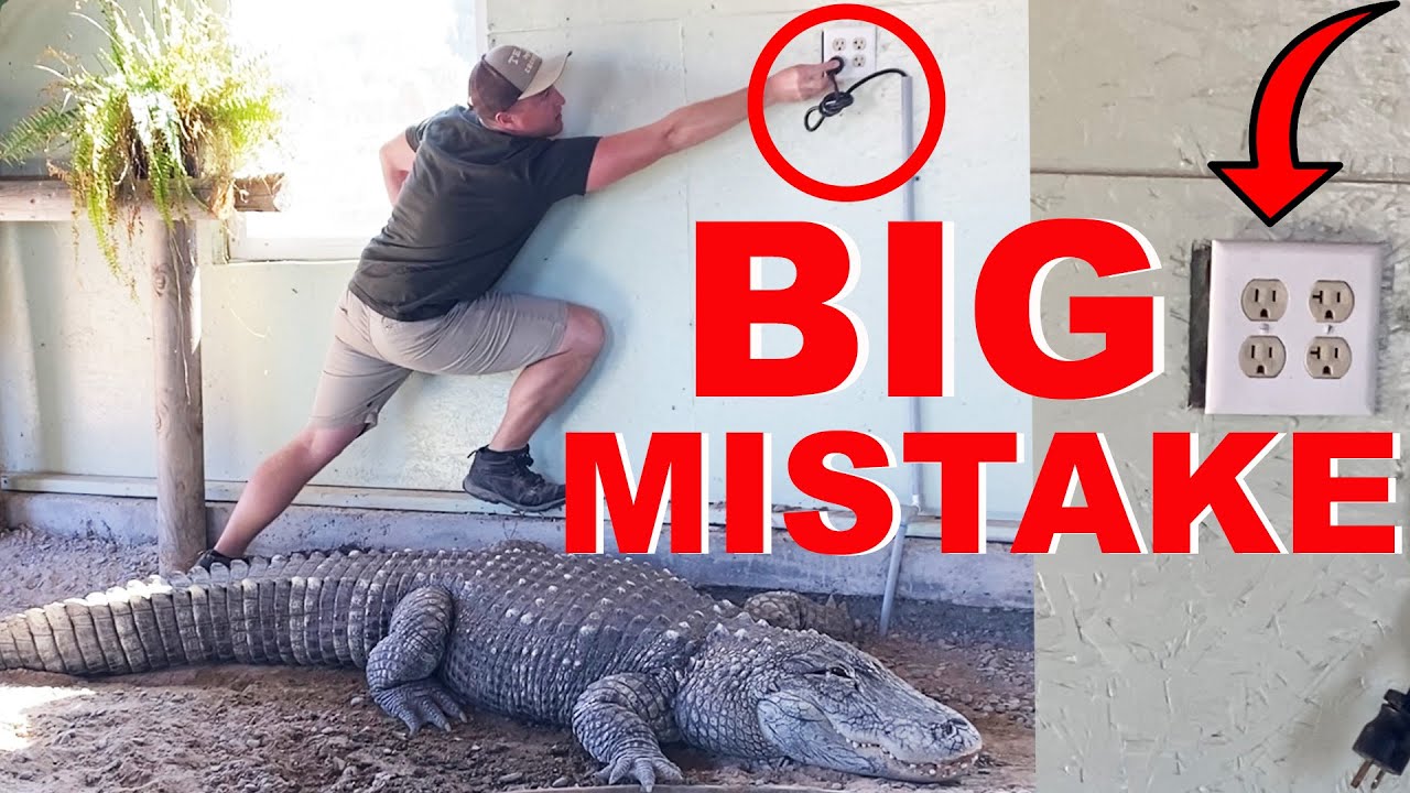 Unbelievable Mistake We Made In The Alligator House! - YouTube
