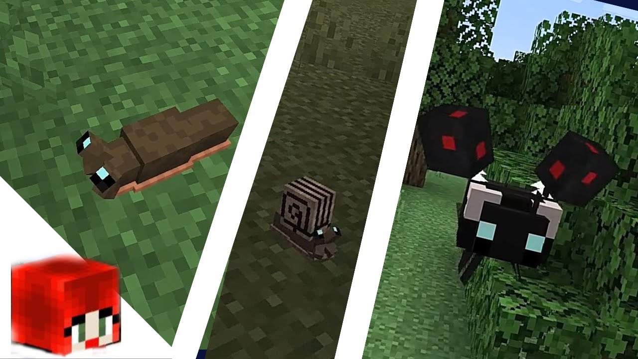 Broglis Bugs (1.19.2 Forge Mod - Mods with Mel) (Free Download) - YouTube