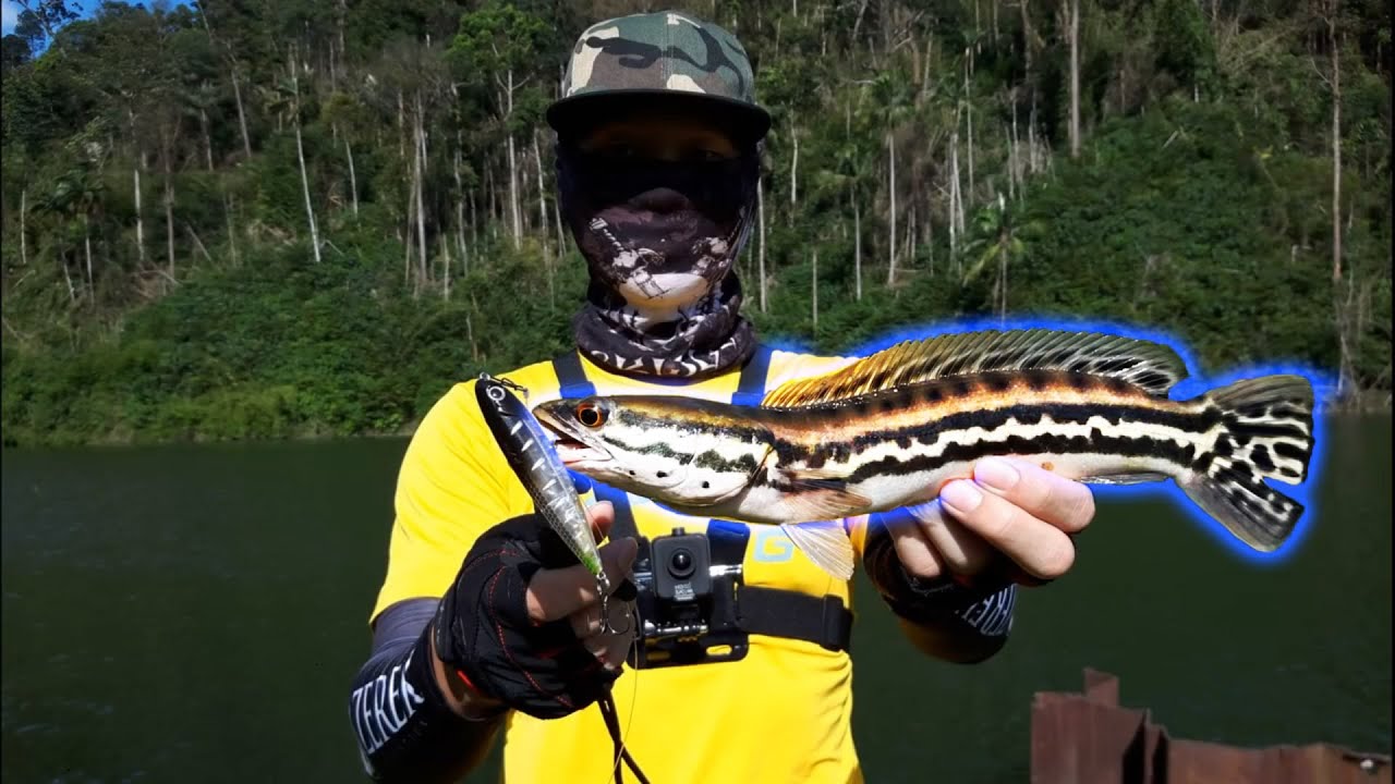 [TFS] Toman Snakehead Fishing - First Cast and Fish On! - YouTube