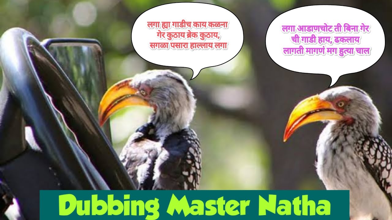 तुझ्या माझ्या प्रेमाला नजर नको कोणाची Dubbing Master Natha Animal ...