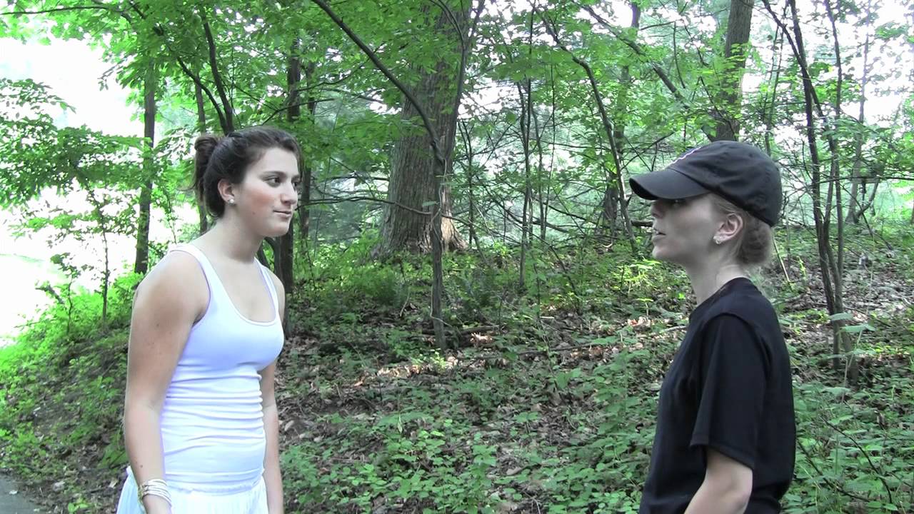 AP Lang Parody Project 2011 - YouTube