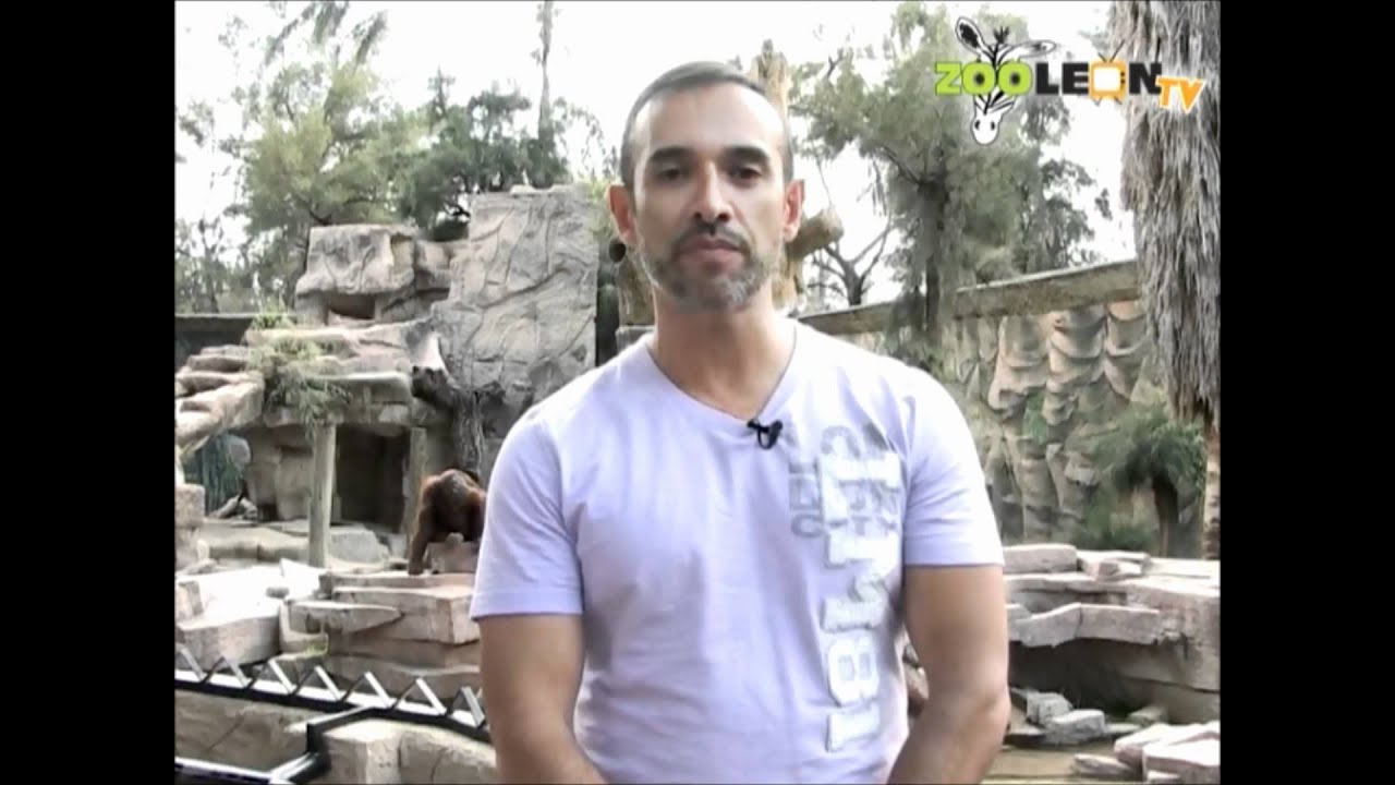 Sección "Perfiles" con Rodolfo Sandoval - YouTube