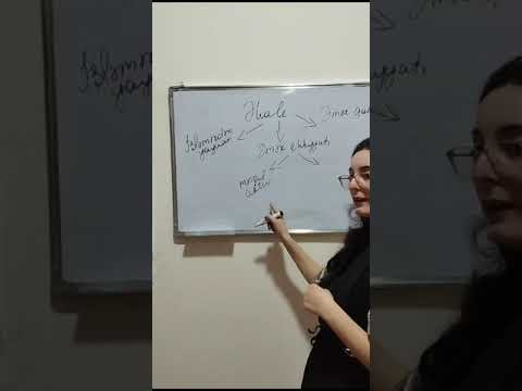 Ehalinin növləri . Qısa izahlar . Coğrafiya . Günay Rəhimova .