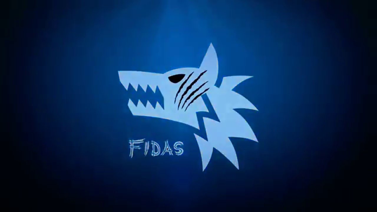 Intro Fidas - YouTube