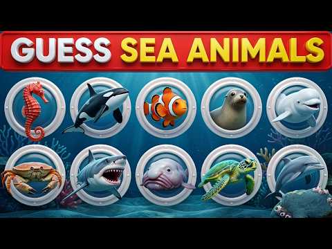 🐬 Can You Guess the Sea Animals in Just 7 Seconds? 🌊 | Easy to Impossible Challenge!