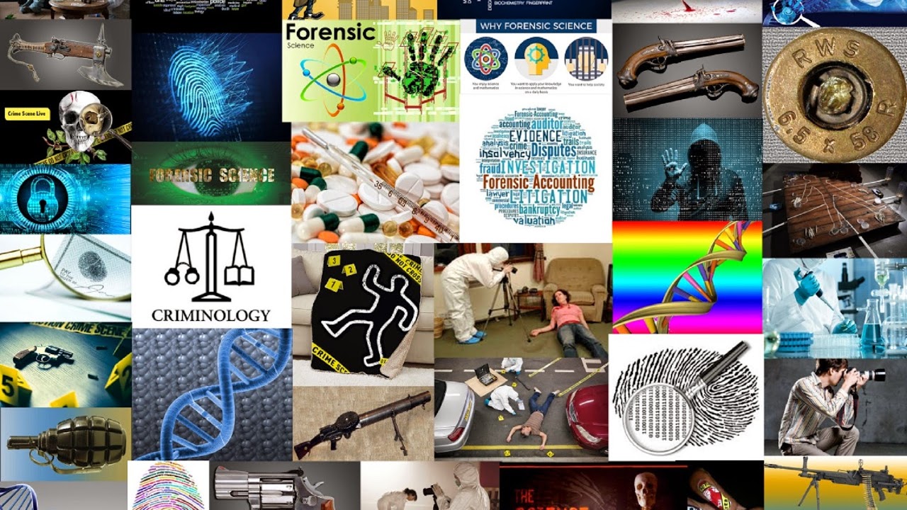 Ormap Forensic Mart Private limited Live Stream - YouTube