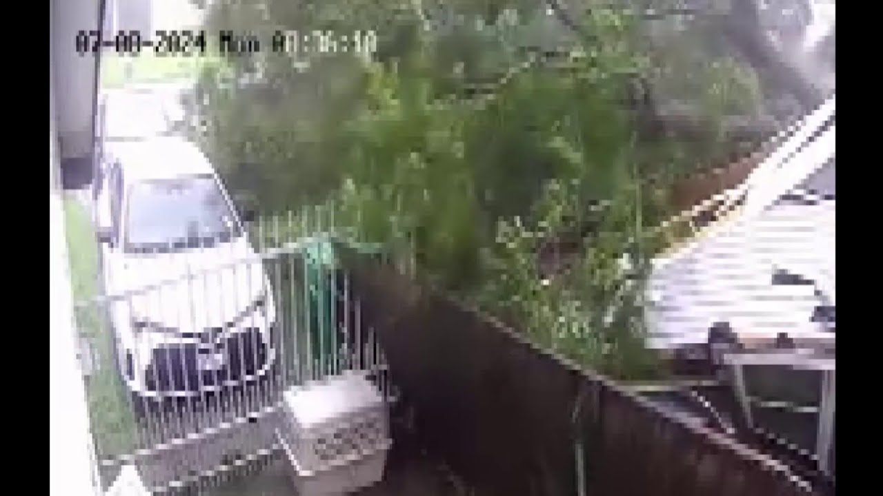 CAUGHT ON CAMERA: Intense video shows moment tree falls onto SE Houston ...