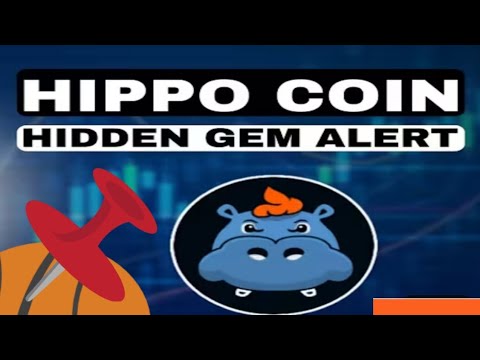 Hippo Coin New Big Update 🔥| Hippo ( Sudeng ) Coin News Today | Hippo ...