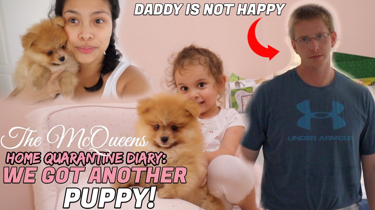 NAGUWI AKO NG ISA PANG BABY! | CUTEST NEW PUPPY **THEIR REACTION ...