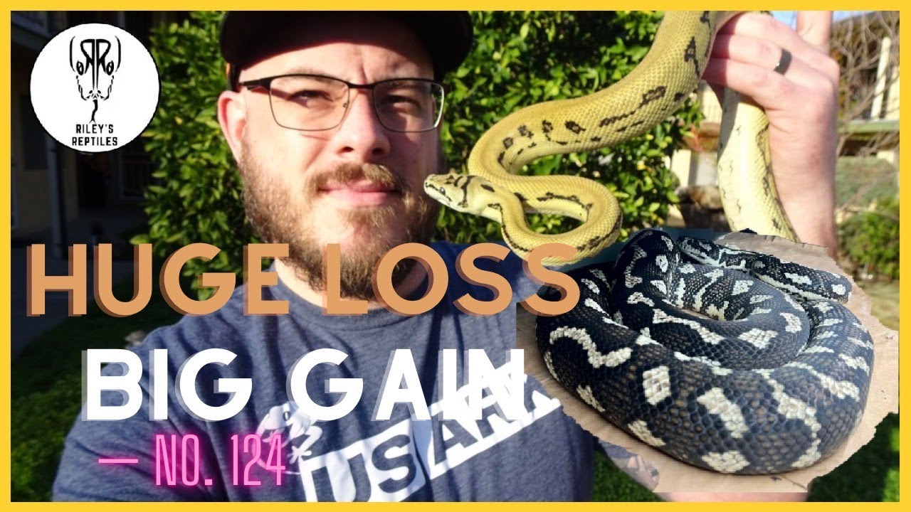 Huge Loss, Big Gain - no. 124 - YouTube
