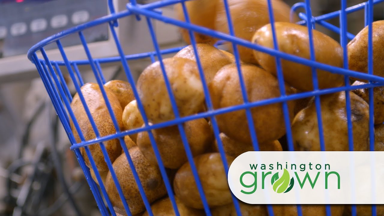 Bloomsday: Powered by Potatoes | Washington Grown | S7E9 - YouTube