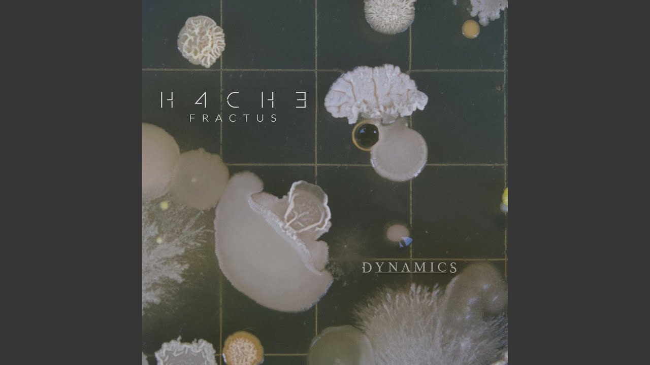 Dynamics - YouTube