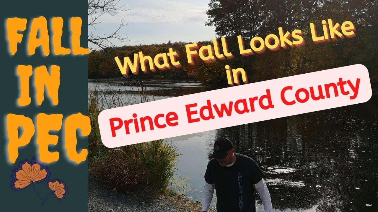 Fall in Love with Fall in Prince Edward County: A Guide to the Best ...