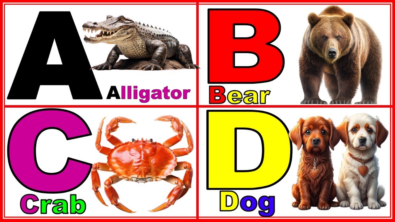 English alphabets/ abcd /a to z /english varnamala abcdefghijk/a for ...