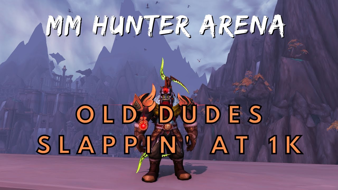 MM Hunter/Arms Warrior Arena VI | WoW Arena - YouTube