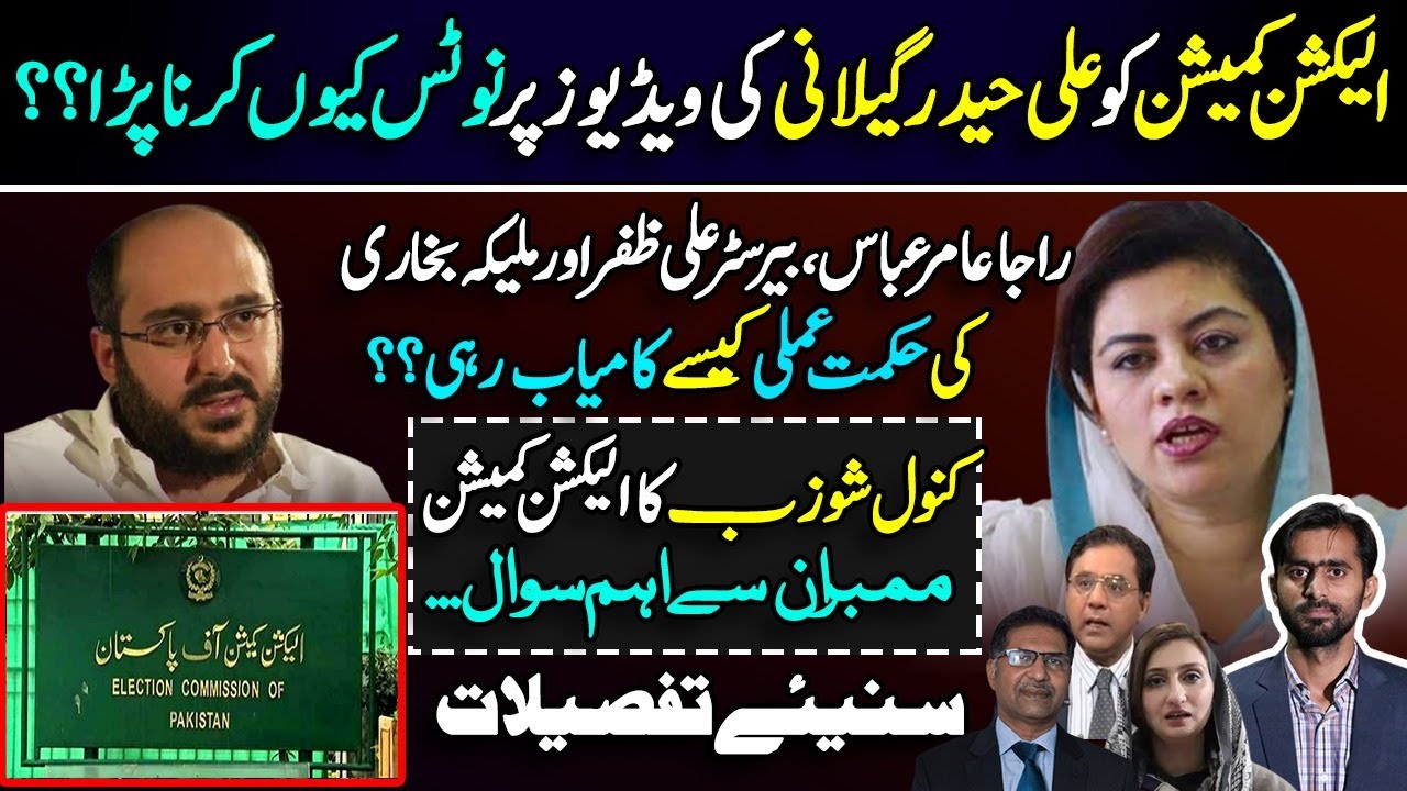 Why did ECP takes Notice of Ali Haider Gillani's Video?Kanwal Shauzab's ...
