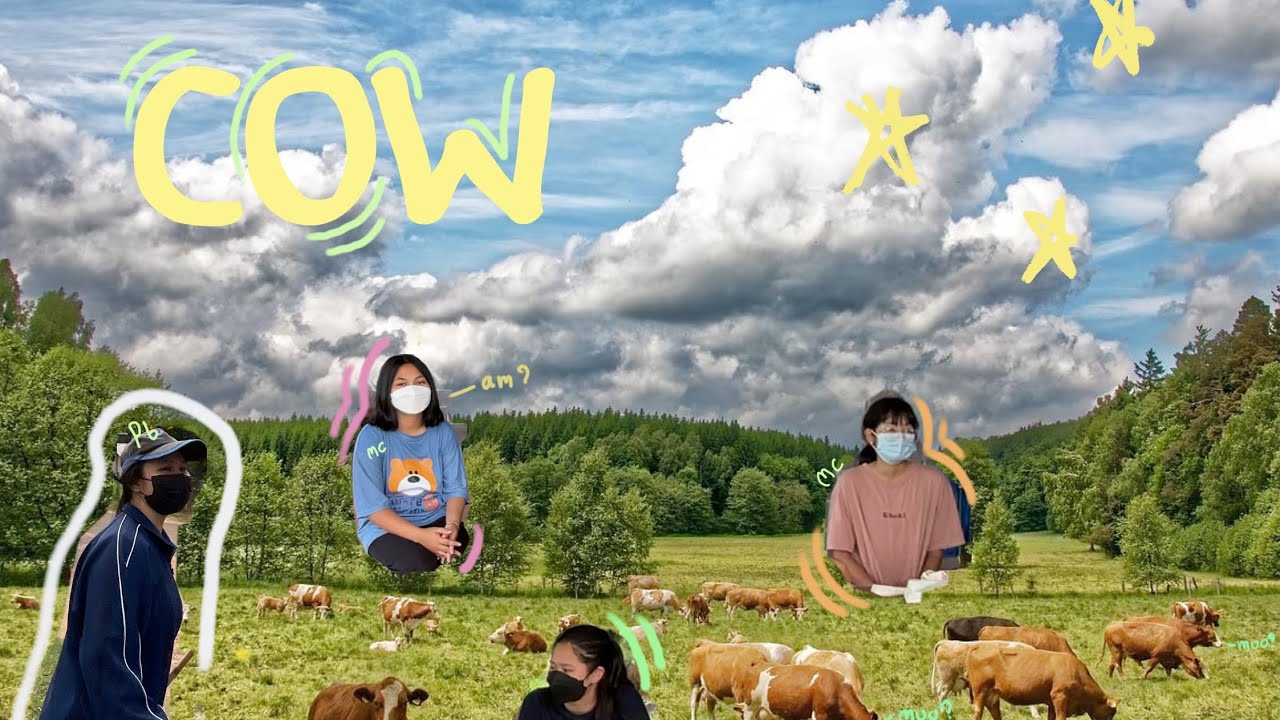 COWWWW🐄 - YouTube