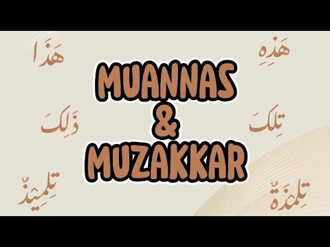 Belajar muannas dan muzakkar #belajarbahasaarabuntukpemula # ...