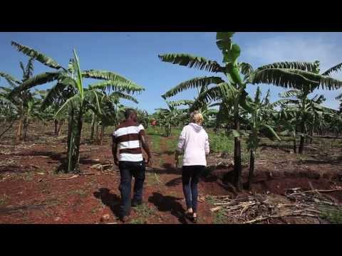 Agahozo-Shalom Youth Village: Cultivating a Brighter Future