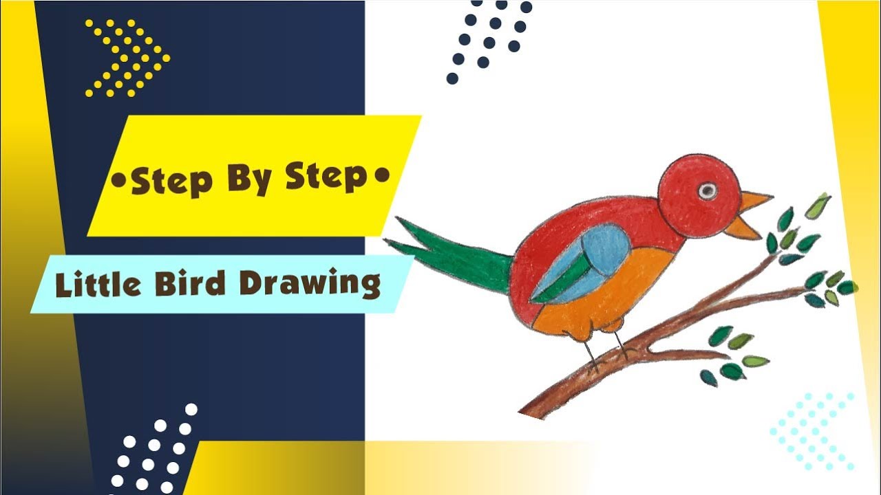Step by step Little Bird drawing for beginners and kids drawing ||পাখি ...