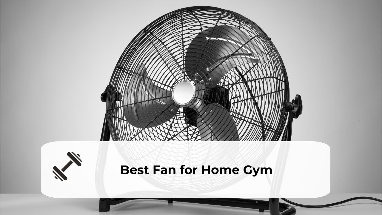 Best Fan for Home Gym Reviews and What to Look For? - YouTube