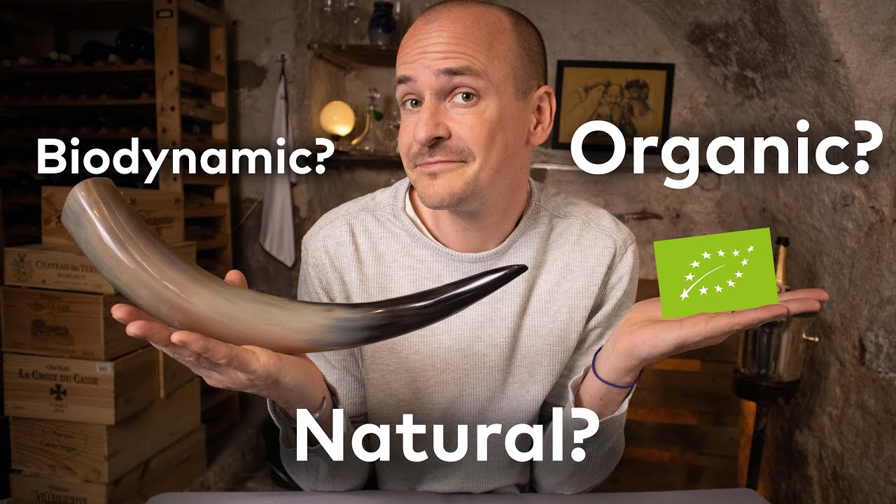 ORGANIC, BIODYNAMIC and NATURAL Wine - The Wine Experience - YouTube
