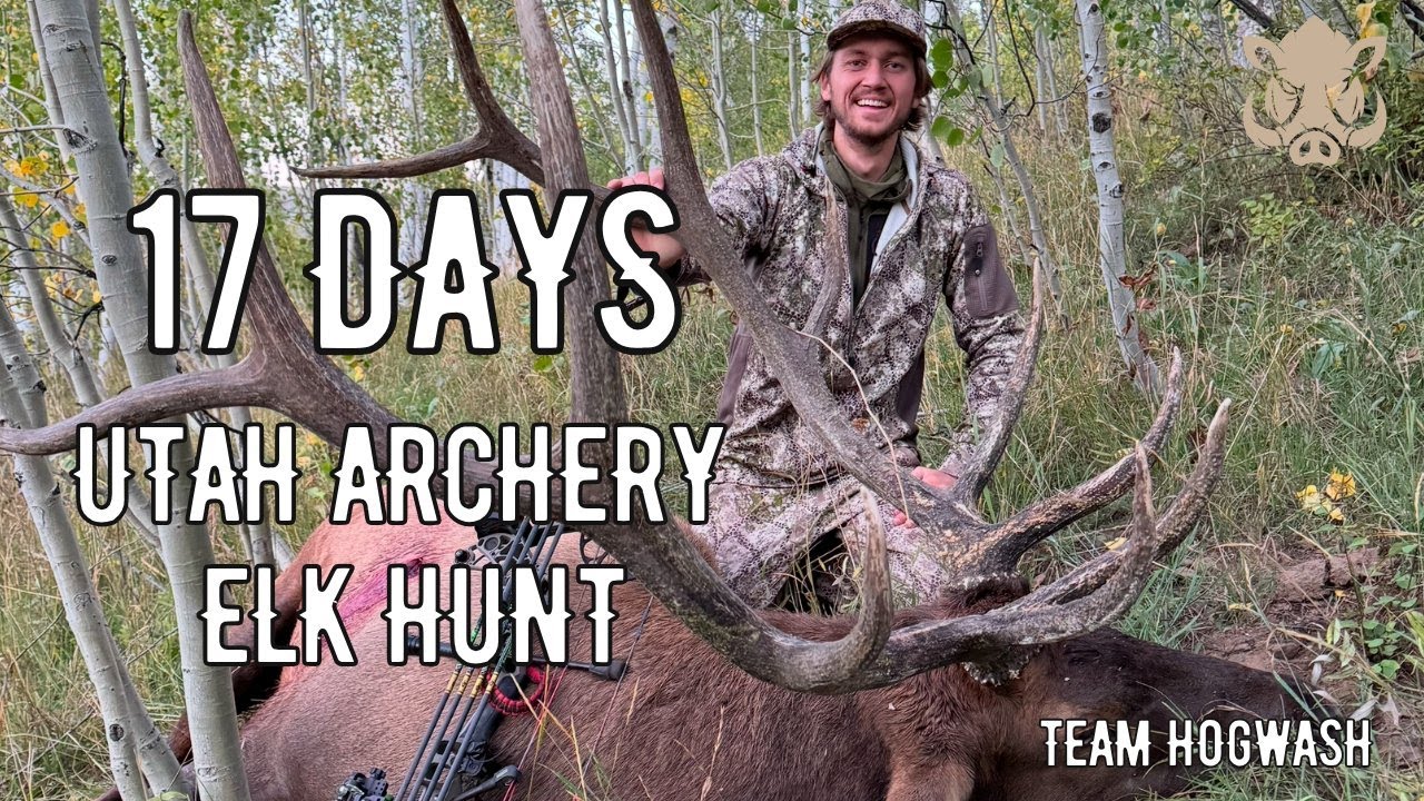 17 DAYS | Utah Archery Elk Hunt - YouTube