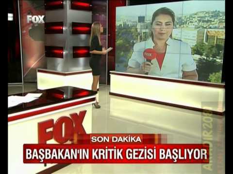 NAZLI TOLGA FENA TAMPON