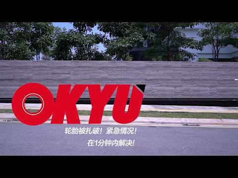 Okyu Tyre Sealer & Inflator Product Guide (Chinese Subs)