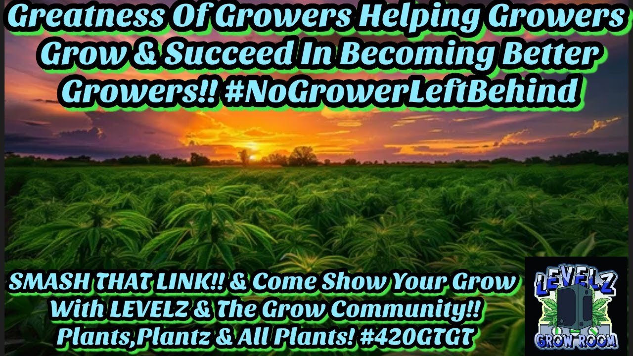 Greatness Of Growers Helping Growerz Becoming Better Growers! Show Ur ...