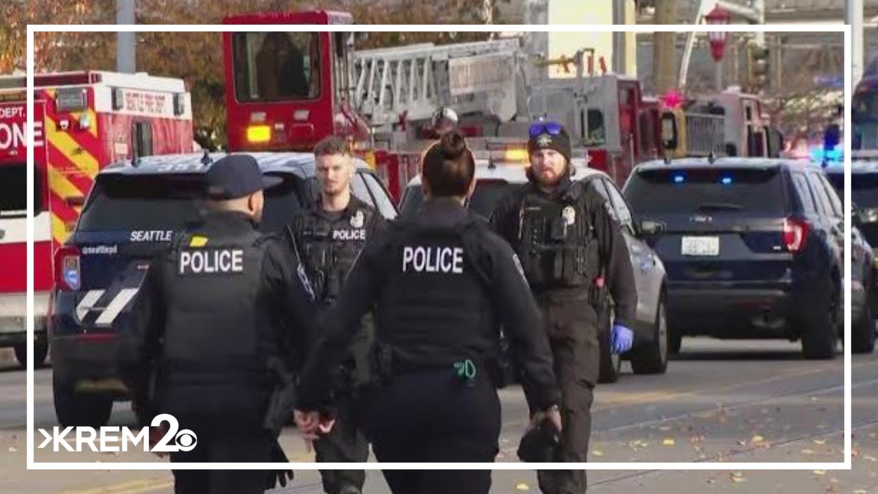 Seattle stabbing suspect held on $2 million bail - YouTube