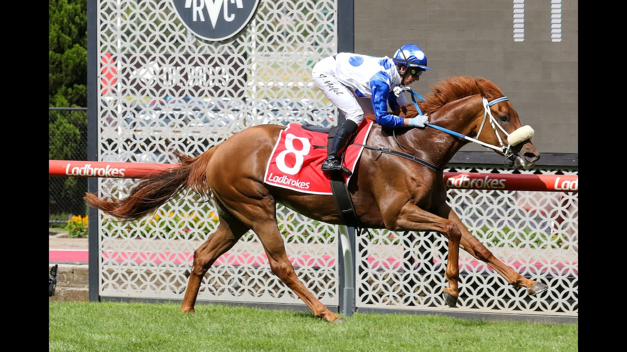 Sandown Hillside Racing Preview (10.06.23) | Sky High Horse Racing ...