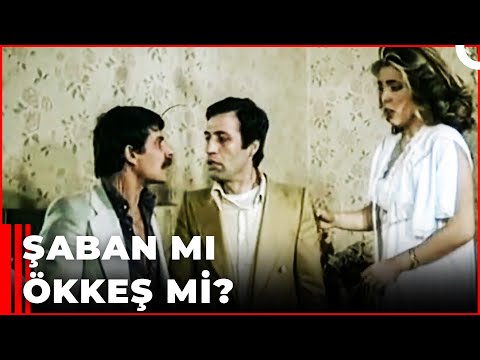 Şaban ile Ökkeş, Oya İçin Yarışıyor! 🤩 | Dokunmayın Şabanıma Özel Sahneler