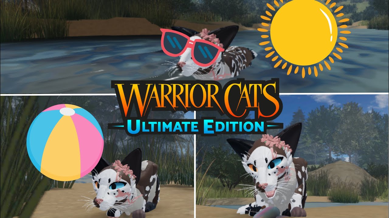 Summer Break!||WCUE - YouTube