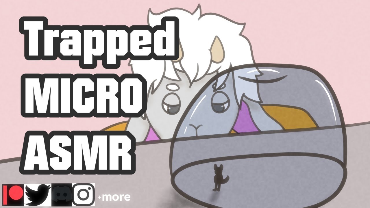 ASMR Trapping A Micro Furry #furries #asmr #goat #micro #macro - YouTube