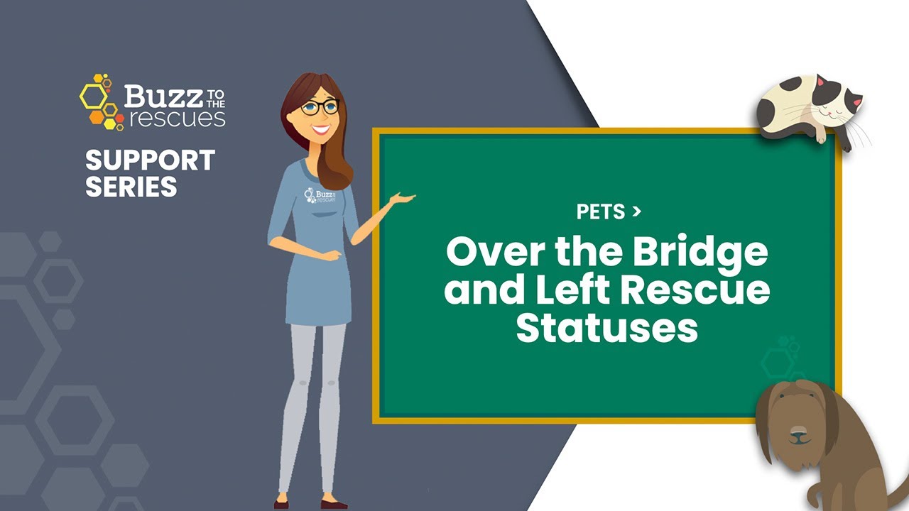Pets → Over the Bridge and Left Rescue Statuses - YouTube