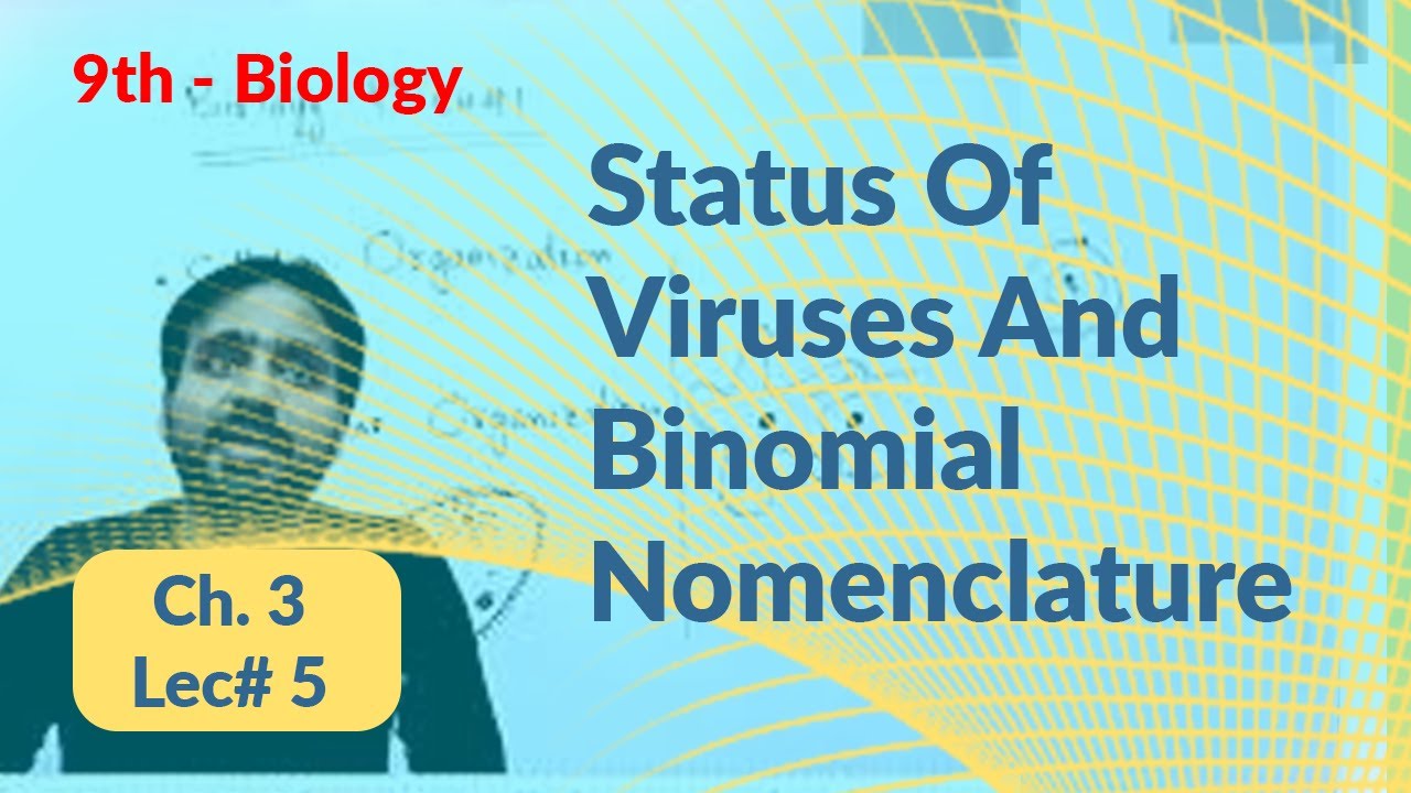 9th Biology Ch 3 status of viruses and binomial nomenclature - 9th ...