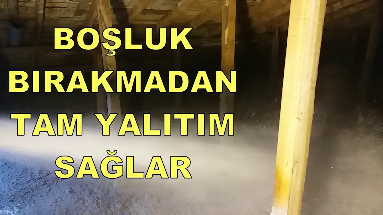 cellubor 1 - YouTube