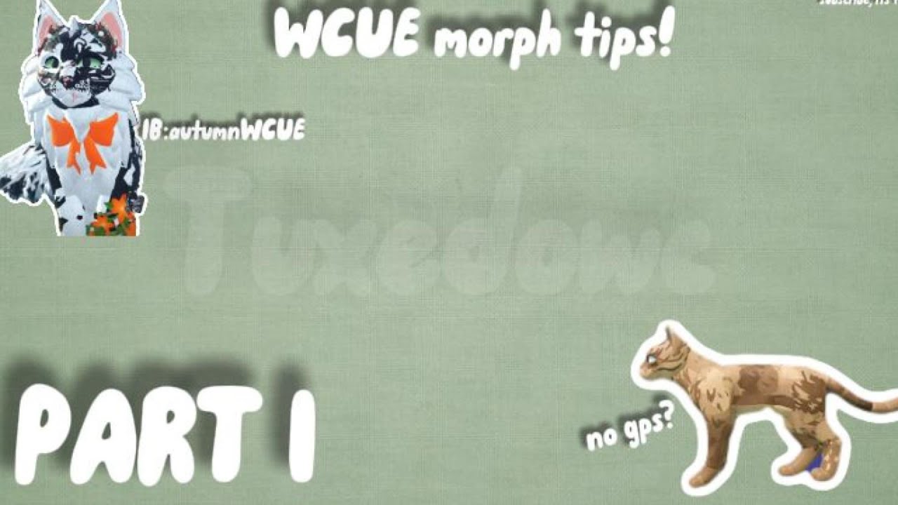 [PART 1] wcue morph tips! [] #wcue #roblox [] @Tuxedowc [] IB ...