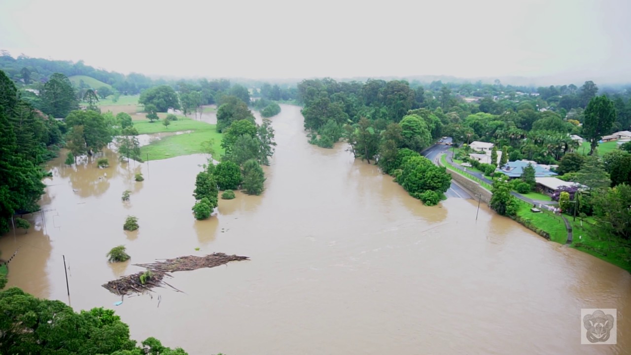 Lavenders Bridge, Bellingen, N.S.W_Flood , 19_03_17 facehead.co - YouTube