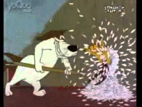 Rooster and chicken hawk - YouTube