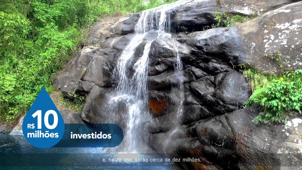 Programa Reflorestar - YouTube