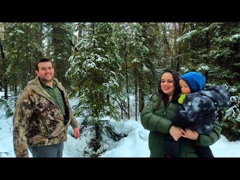 Off-Grid Christmas Magic: Cutting Down a Tree in the Alaskan Wilderness ...