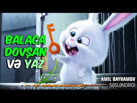 Balaca dovşan və yaz - Amil Bayramov (audio-nağıl)