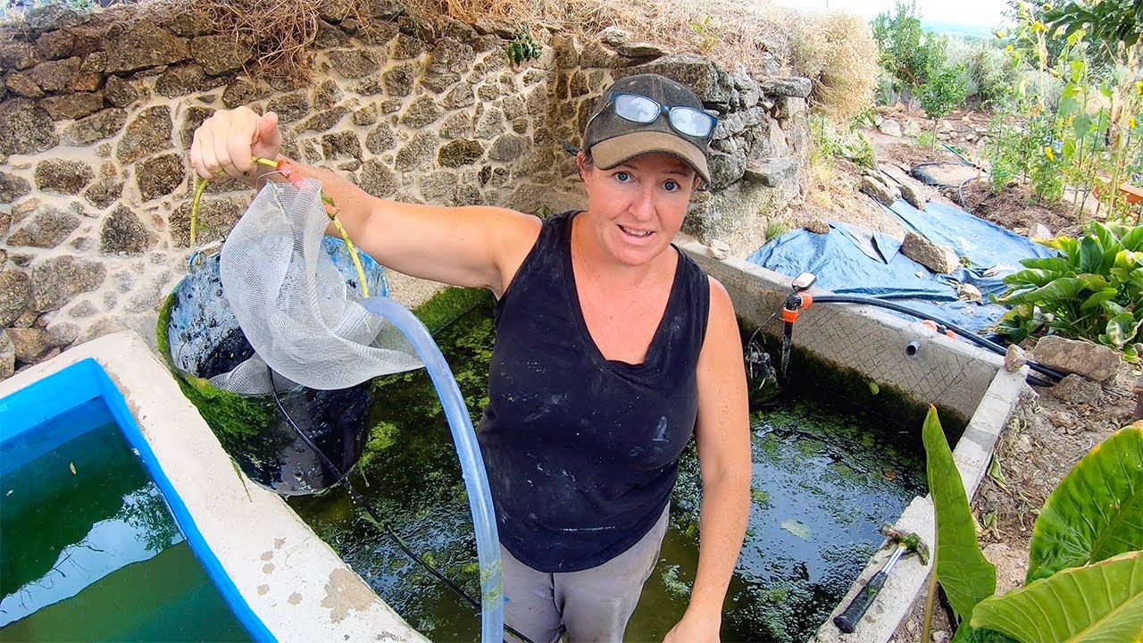 When a 10 Second Job Turns Into a 3 Hour Fiasco - Off Grid Pool Care ...